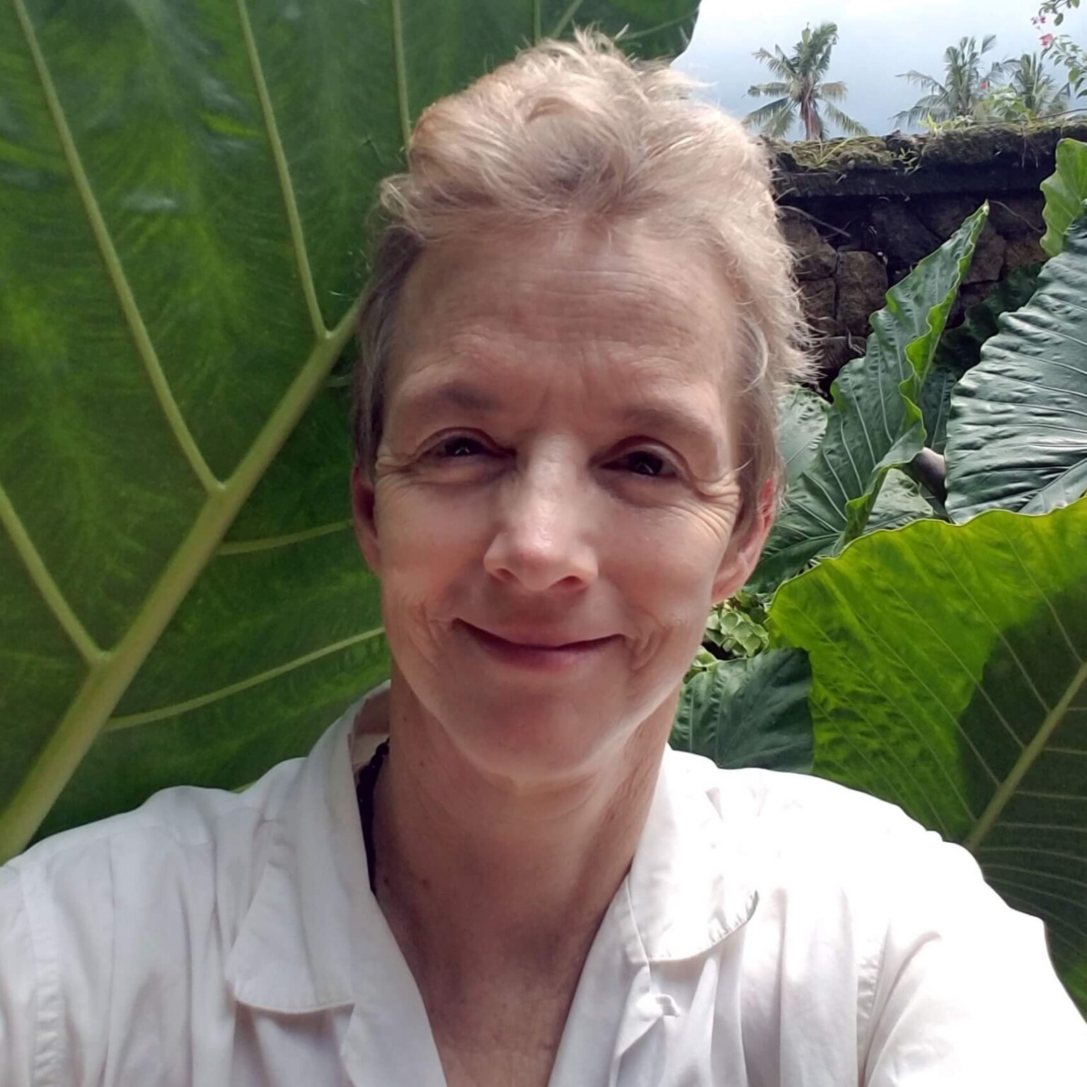 Satipatthana in Dialogue with Suffering and Oppression - Barre Center ...