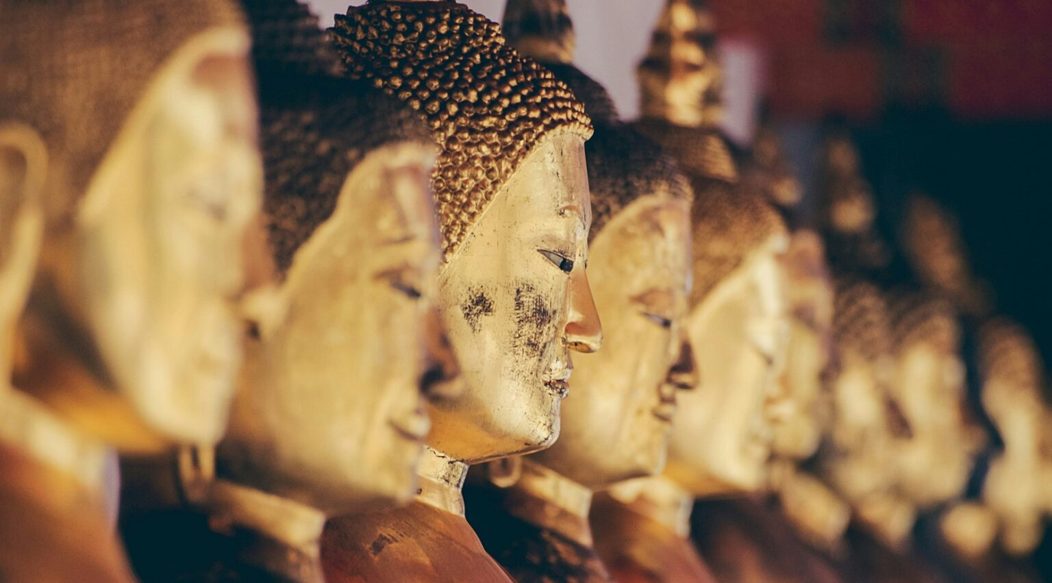 2025 - Chanting, Joy, and the Seven Factors of Awakening - Barre Center ...