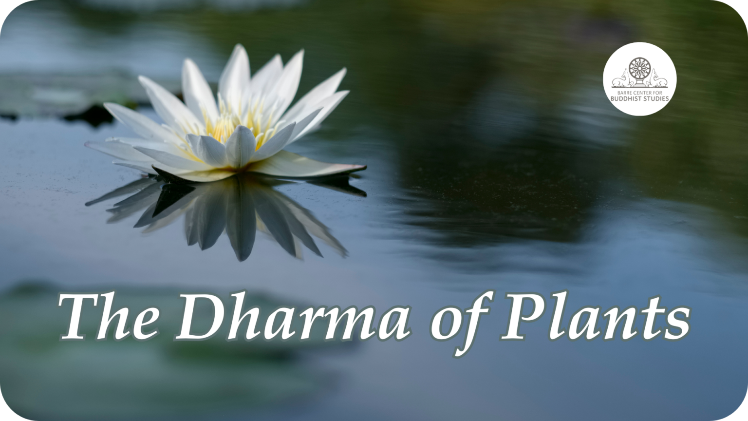 The Dharma of Plants: Editor's Introduction - Barre Center for Buddhist ...